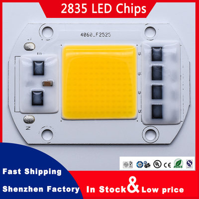 Czinelight Wholesale 110v 220V High Voltage White Drive-Free 20W Surface Light Source